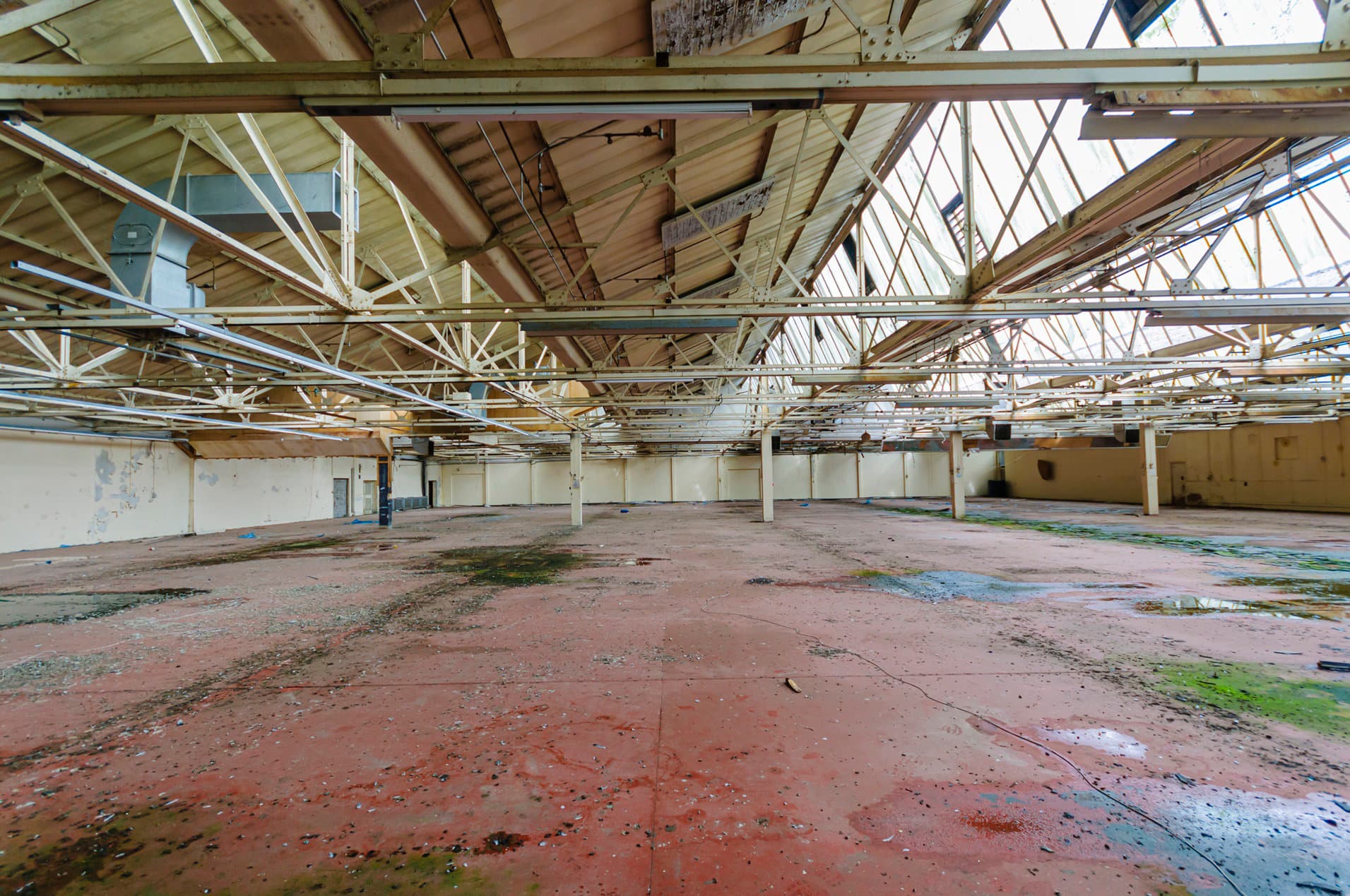 Dilapidations Guide for Landlords : Anstey Horne