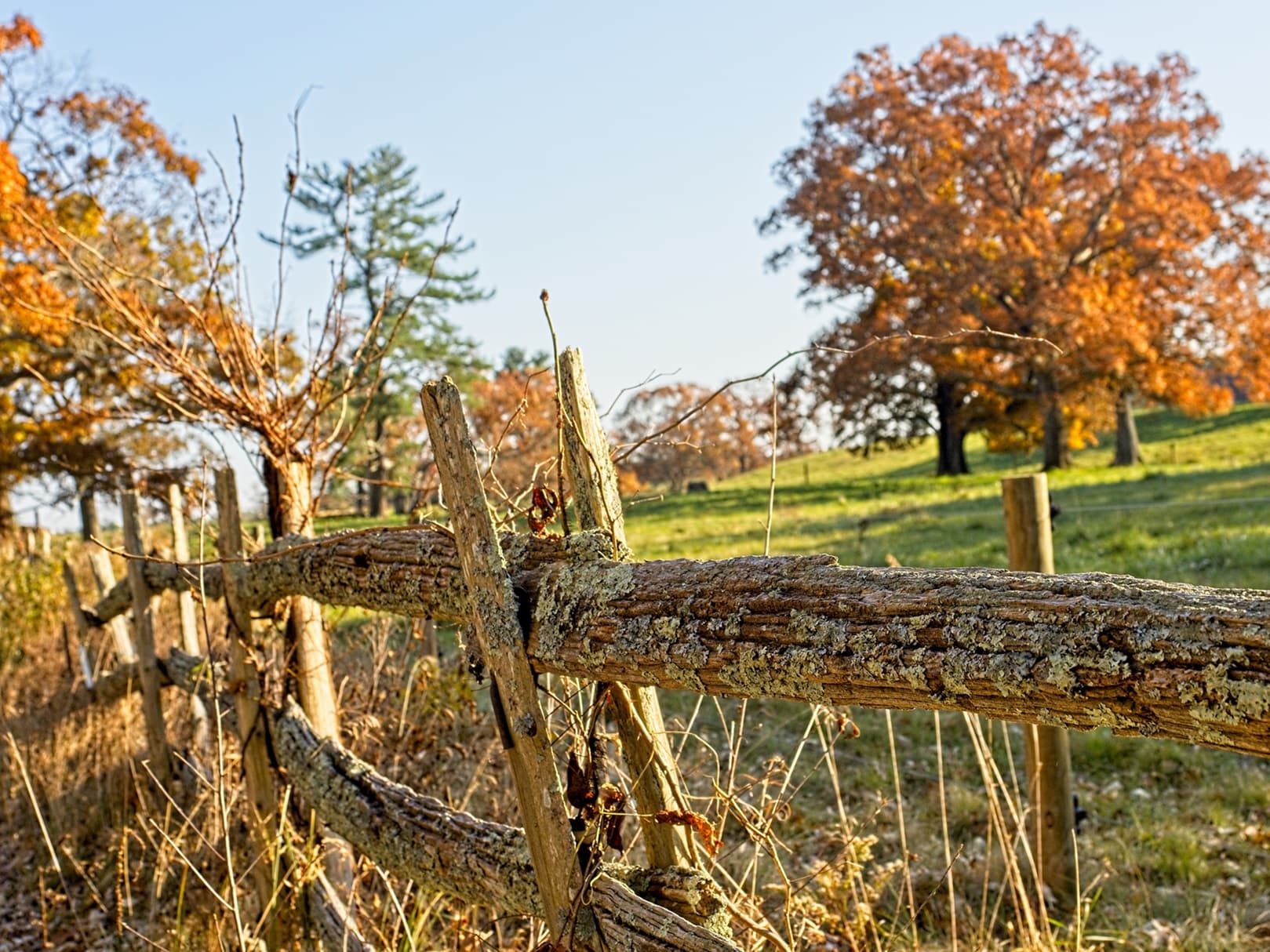 Boundary Disputes - Anstey Horne